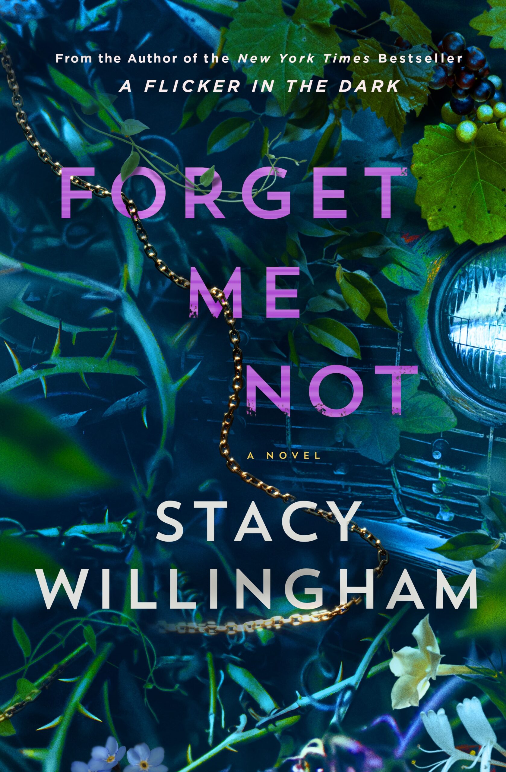 Forget Me Not by Stacy Willingham #bookreview – Always With a Book