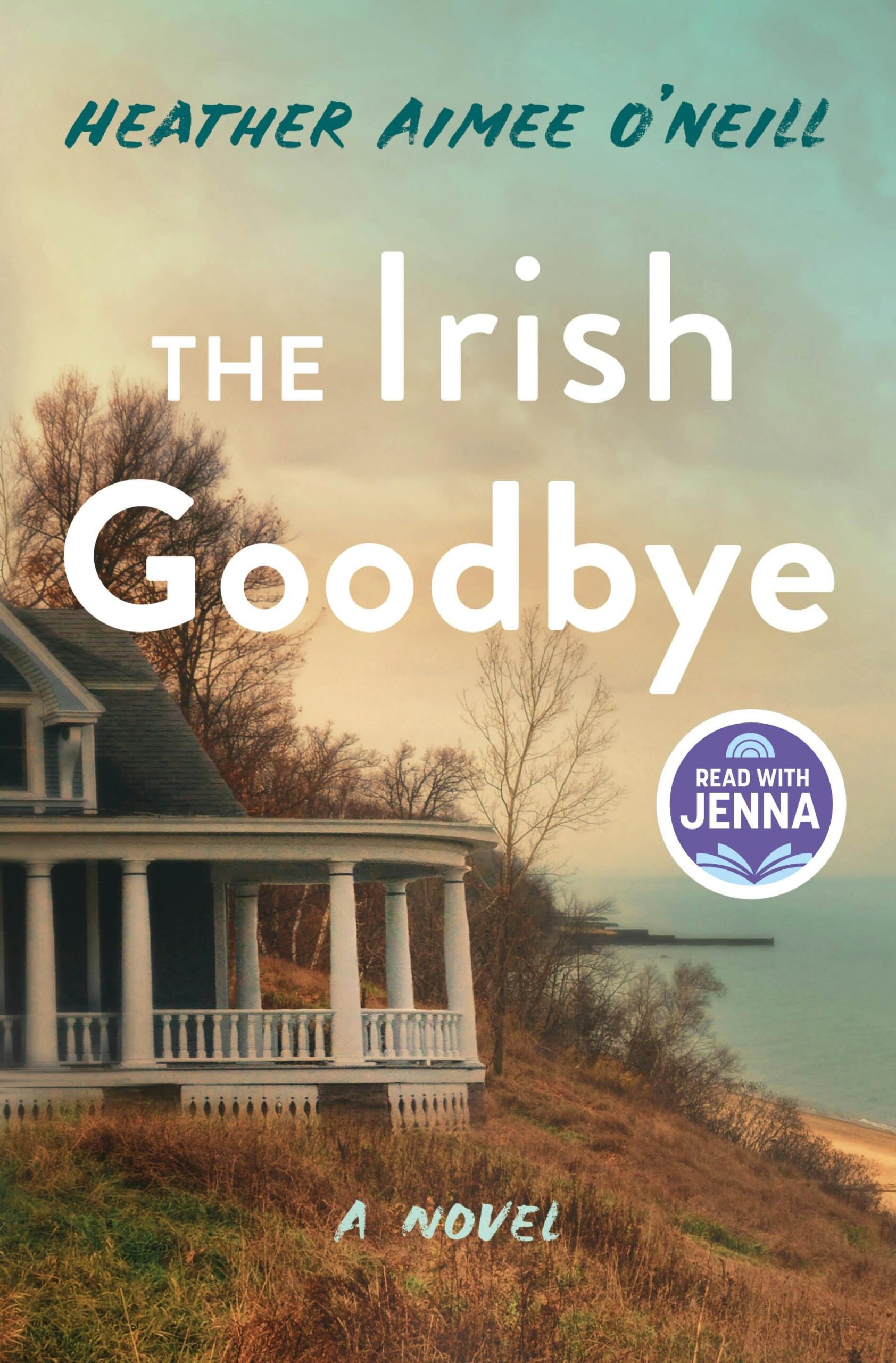 The Irish Goodbye by Heather Aimee O’Neill #bookreview #audiobook # ...